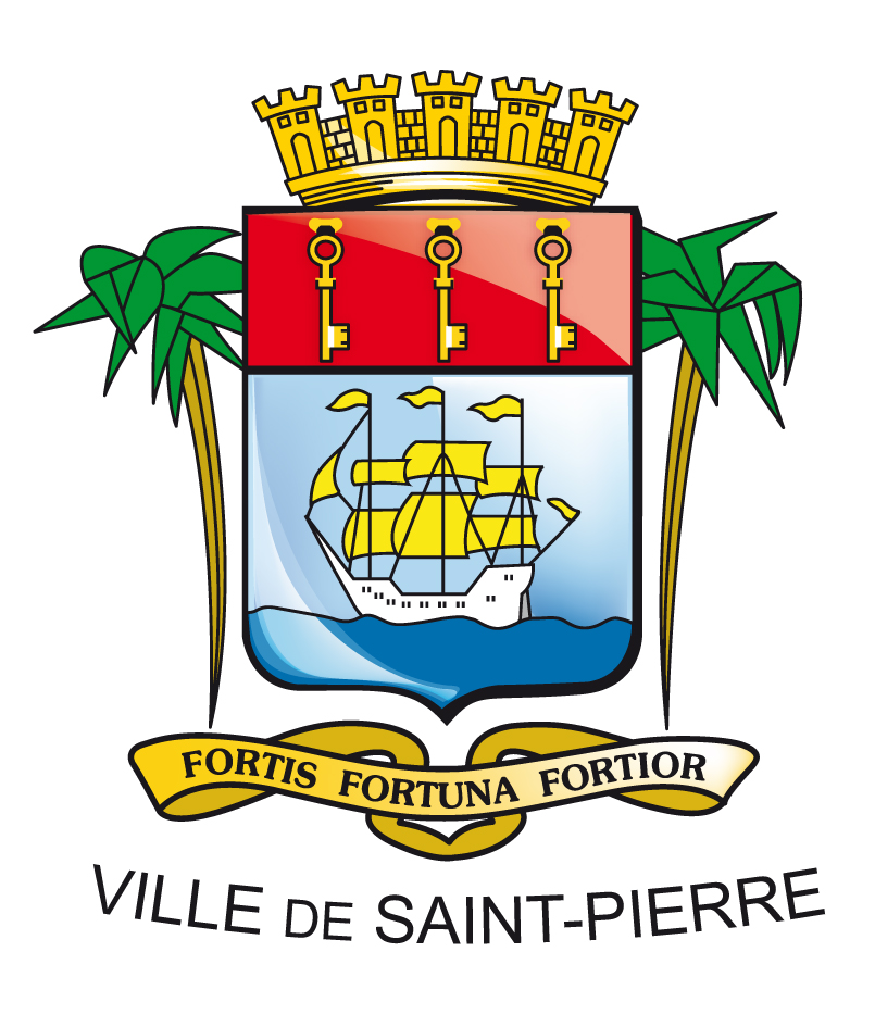 SOS illettrisme – ki fé kwa à Saint-Pierre - Journées Nationales d ...